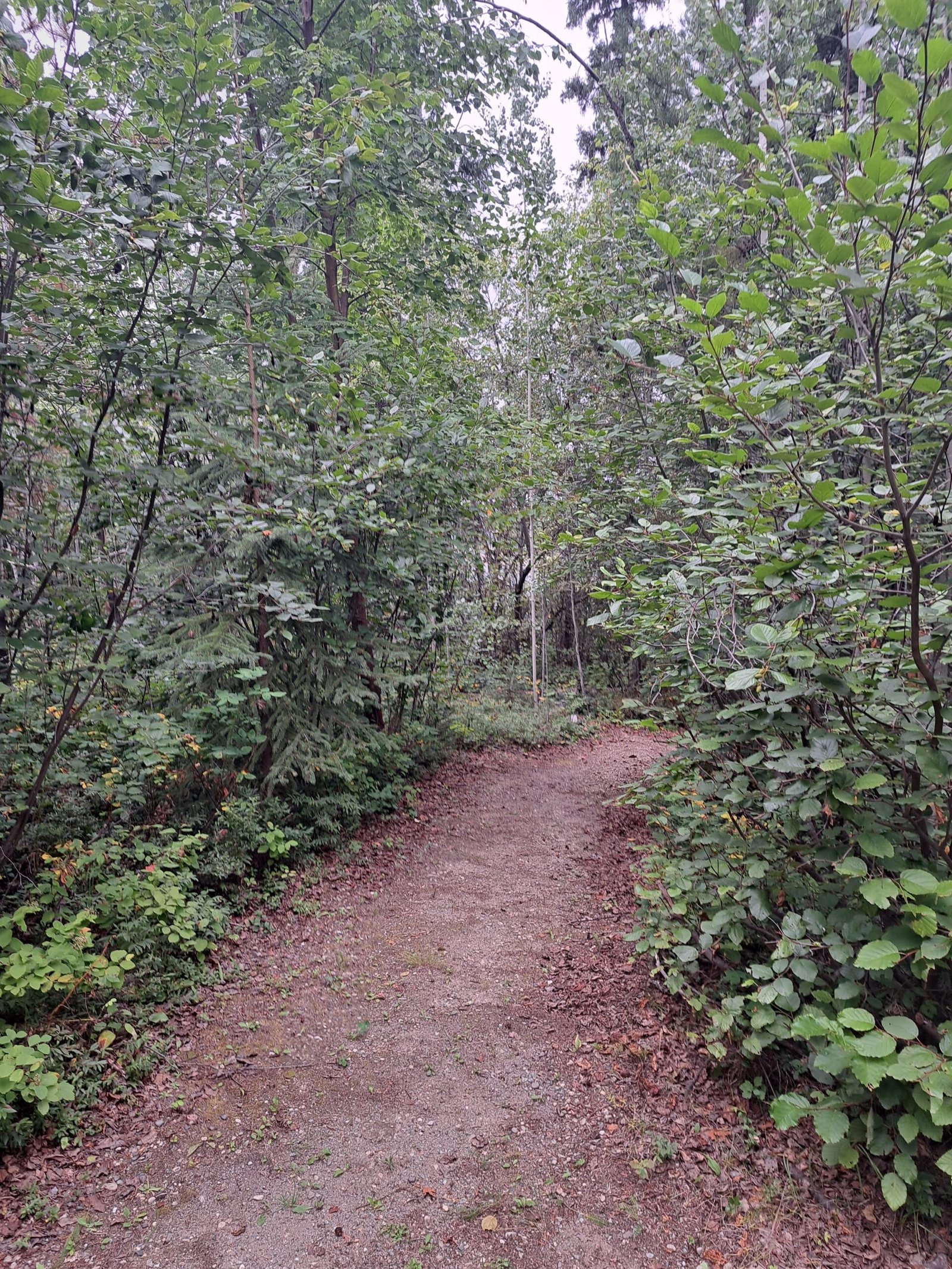 Mackenzie BC - MackenzieBC.com