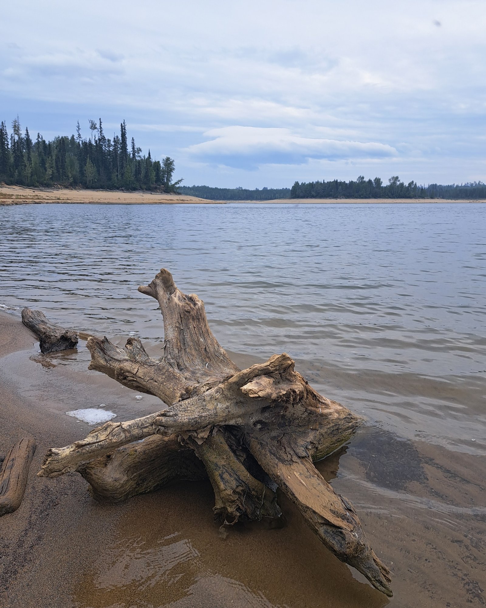 Mackenzie BC - MackenzieBC.com